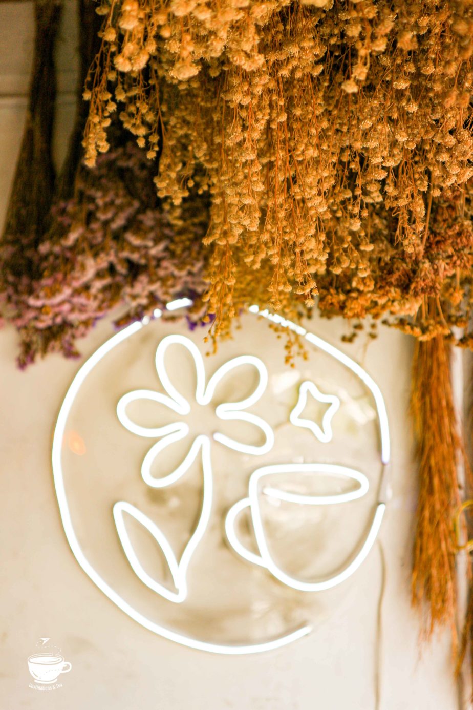 Flower Ranch Cafe: Little Dreamy Cafe Filled With Flowers ...