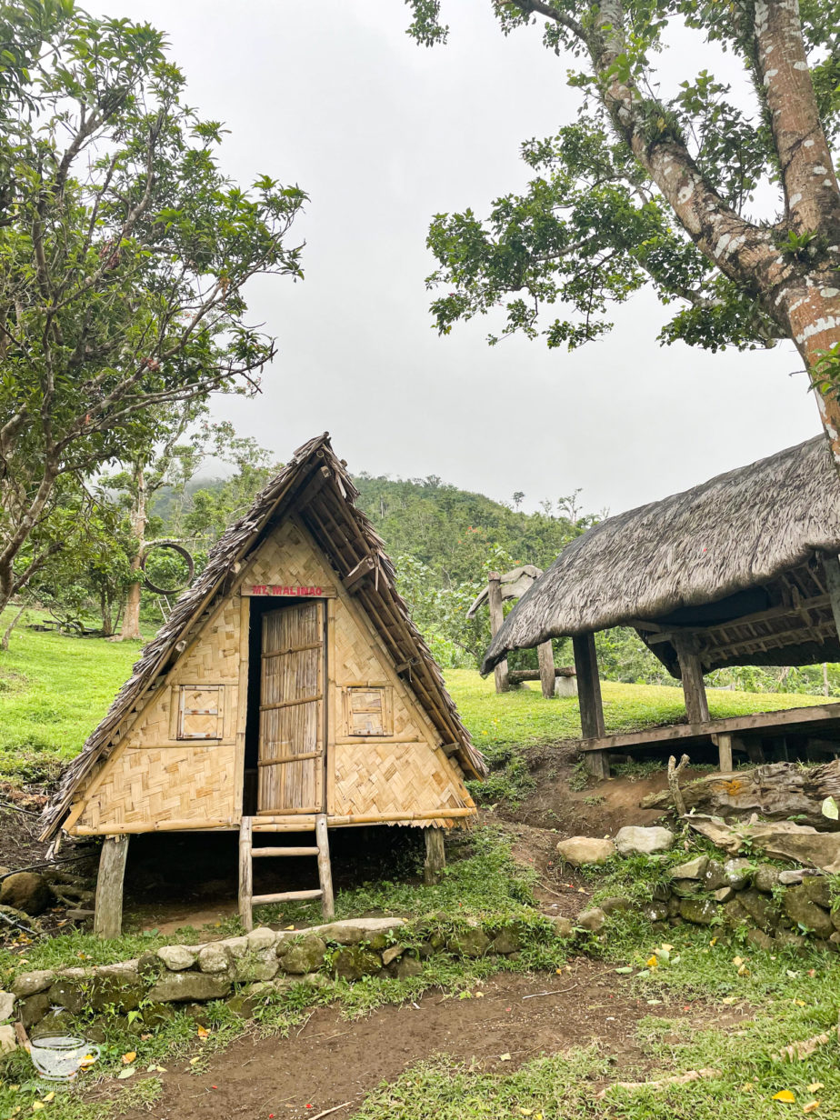 Mt. Masaraga Campsite: Camping In Albay With Mt. Mayon View ...
