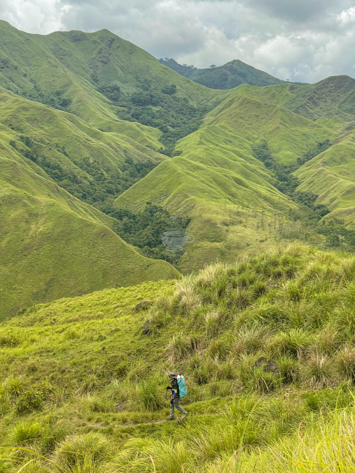 Bukidnon Camping and Hiking DIY Itinerary - Destinations and Tea