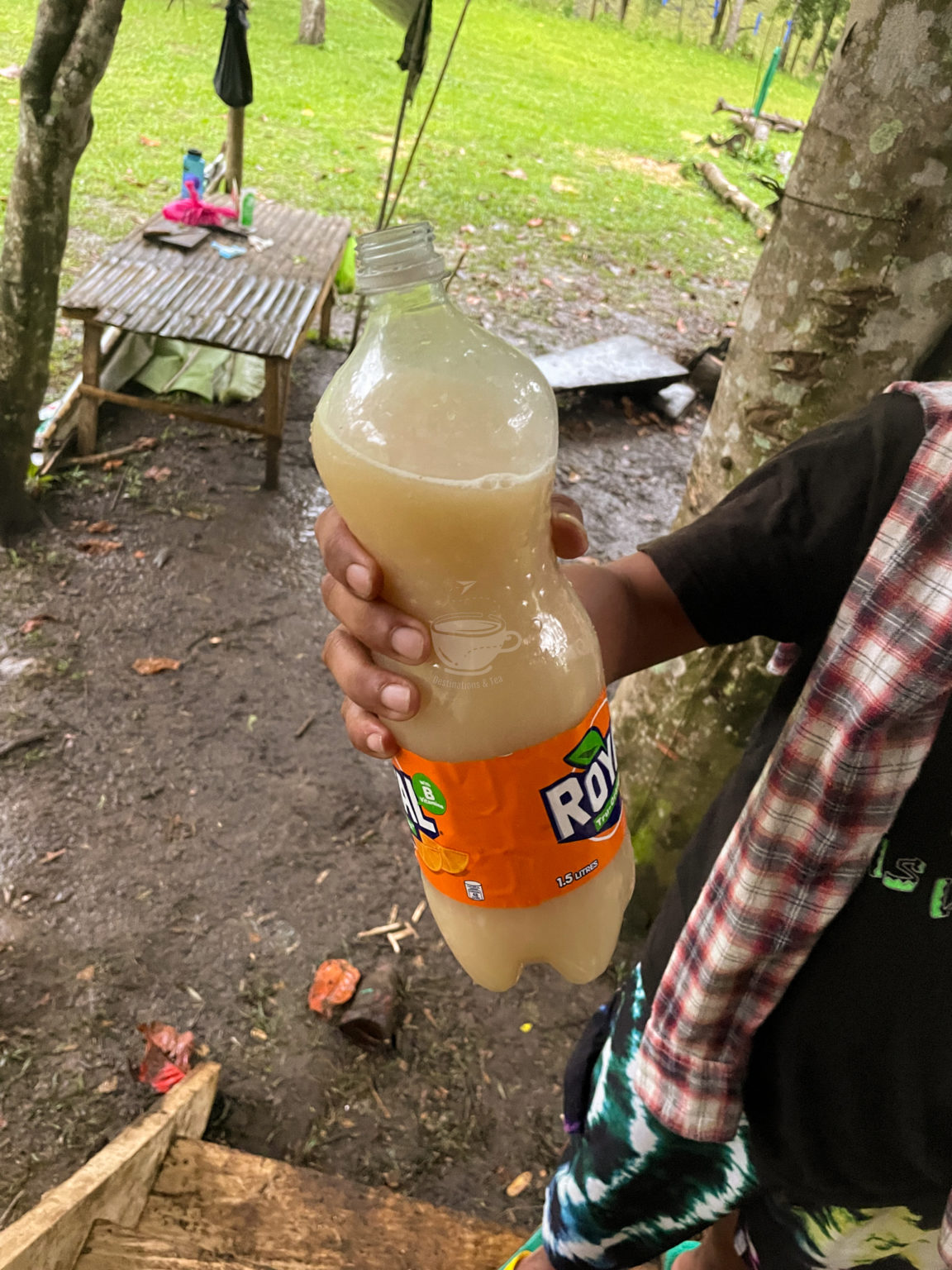 Hiking at Mt. Kulago - Travel Guide, Sample Itinerary - Destinations ...