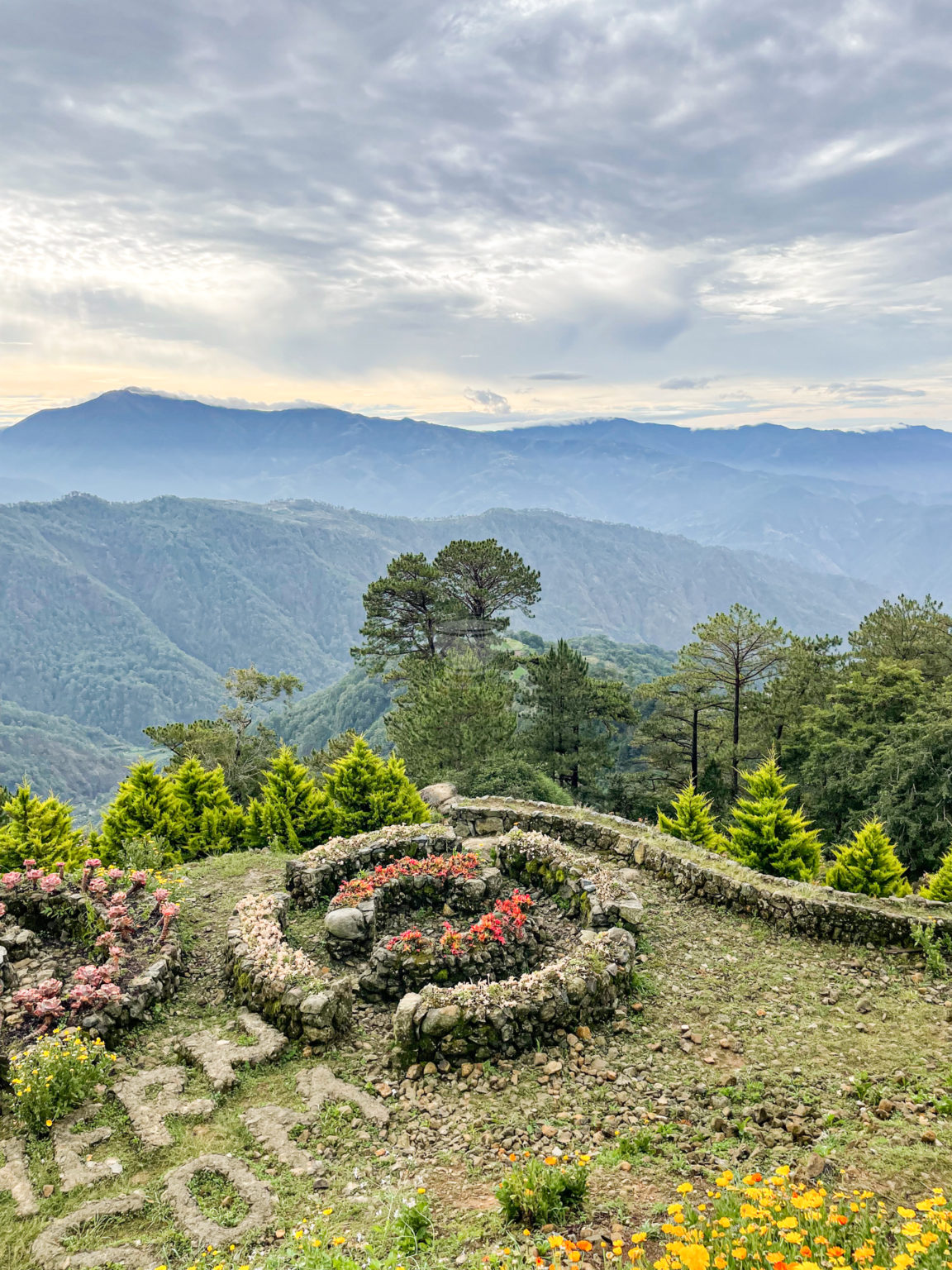 Northern Blossom Flower Farm DIY Travel Guide 2023 - Destinations and Tea