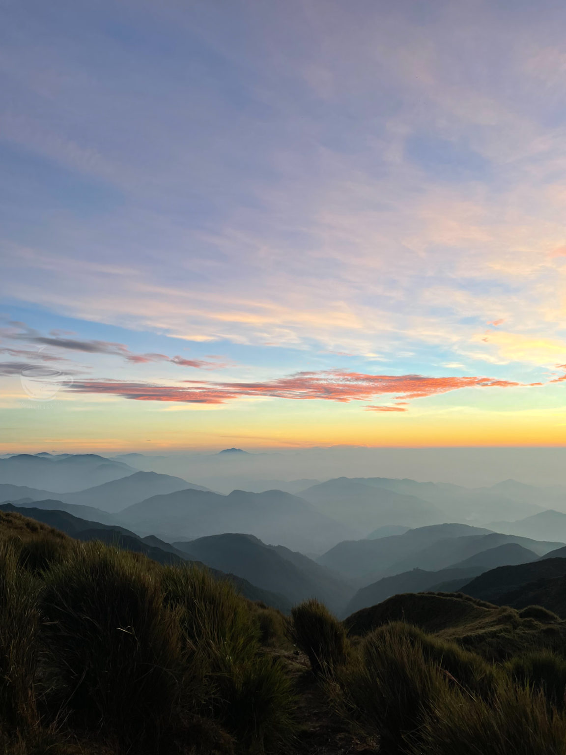 Mt Pulag 2023 - Hiking Guide and Tips - Destinations and Tea