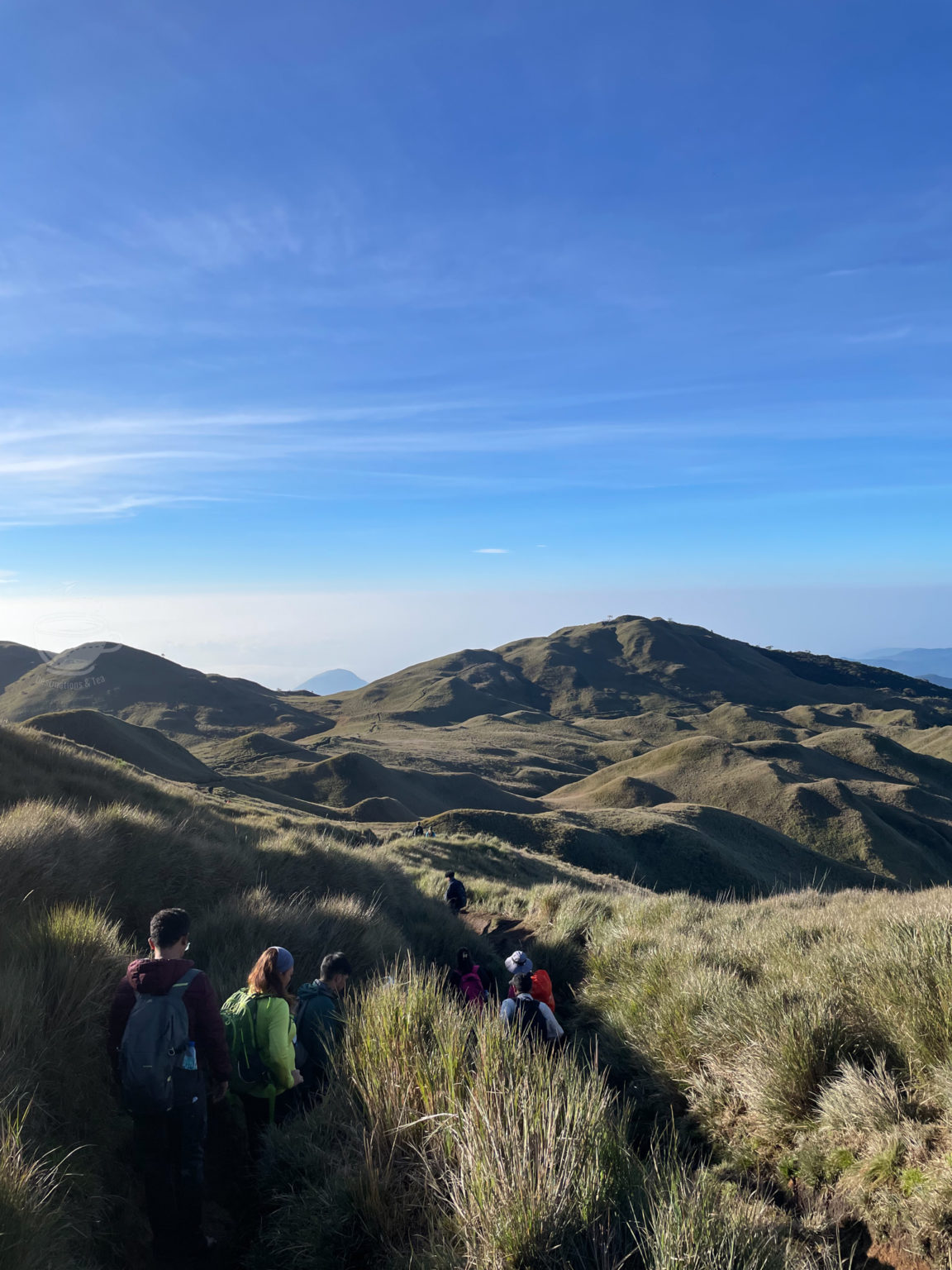 Mt Pulag 2023 - Hiking Guide and Tips - Destinations and Tea
