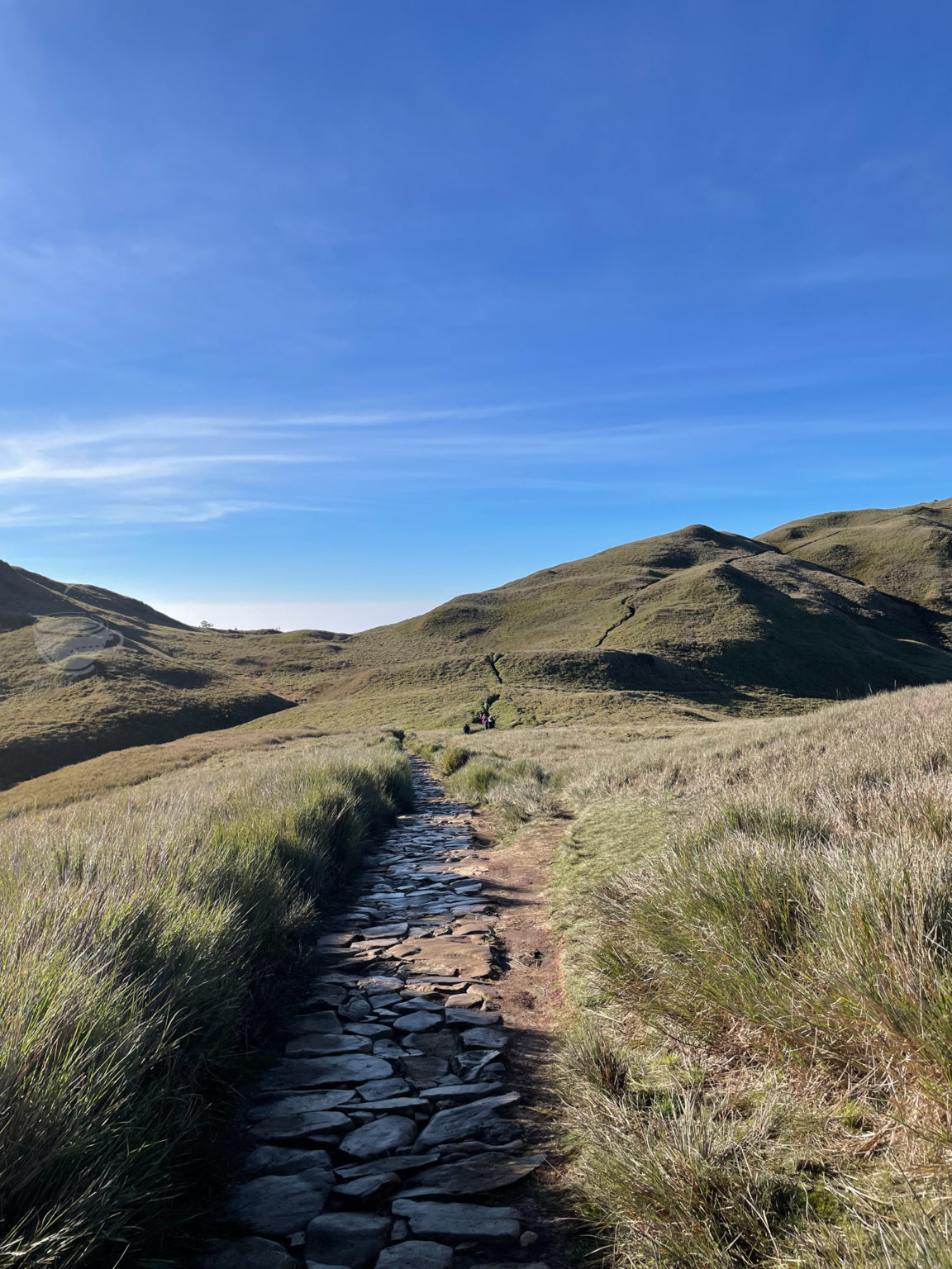 Mt Pulag 2023 - Hiking Guide and Tips - Destinations and Tea